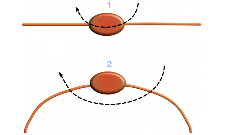 Skin surgery & therapy 1 - Skin Cancer 909